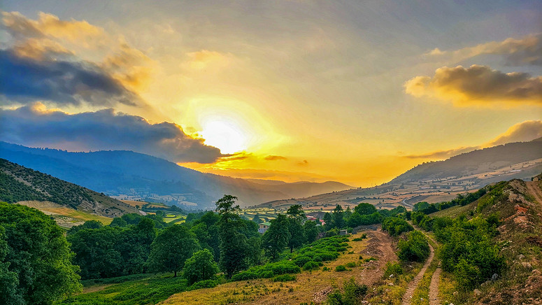 Jammy Jellyfish 22.04 Wallpaper Competition Winners! - Desktop - Ubuntu ...