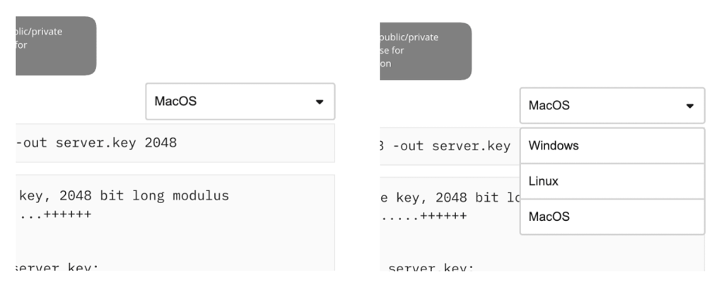 Component > Version Switcher - [Pattern] Code snippet - Ubuntu Community Hub