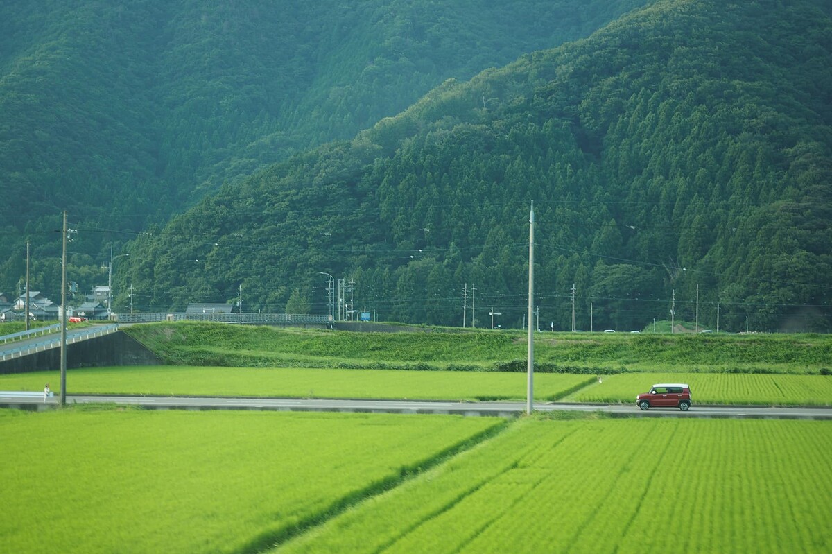 Questing Quokka 25.10 Wallpaper Competition - Community - Ubuntu ...