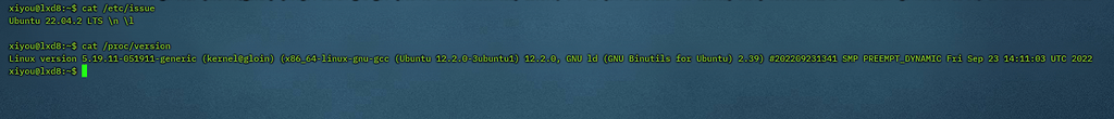 One Container Get Different Cpu Result When Using Htop And Top Command On Different Host Lxd