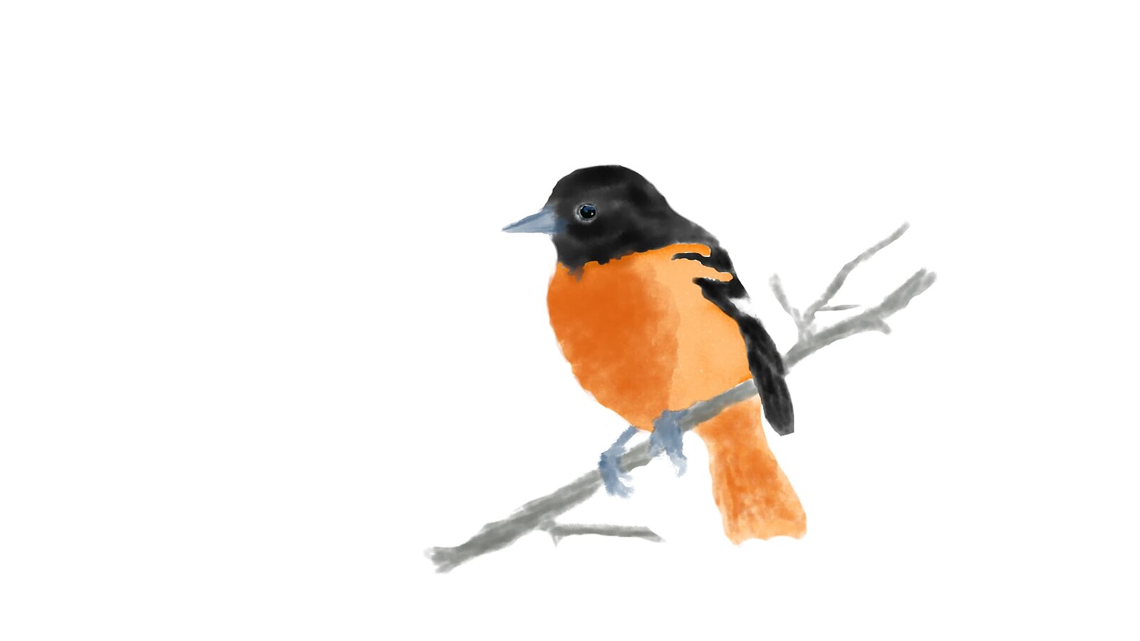 Oracular Oriole 24.10 Wallpaper Competition - Desktop - Ubuntu ...