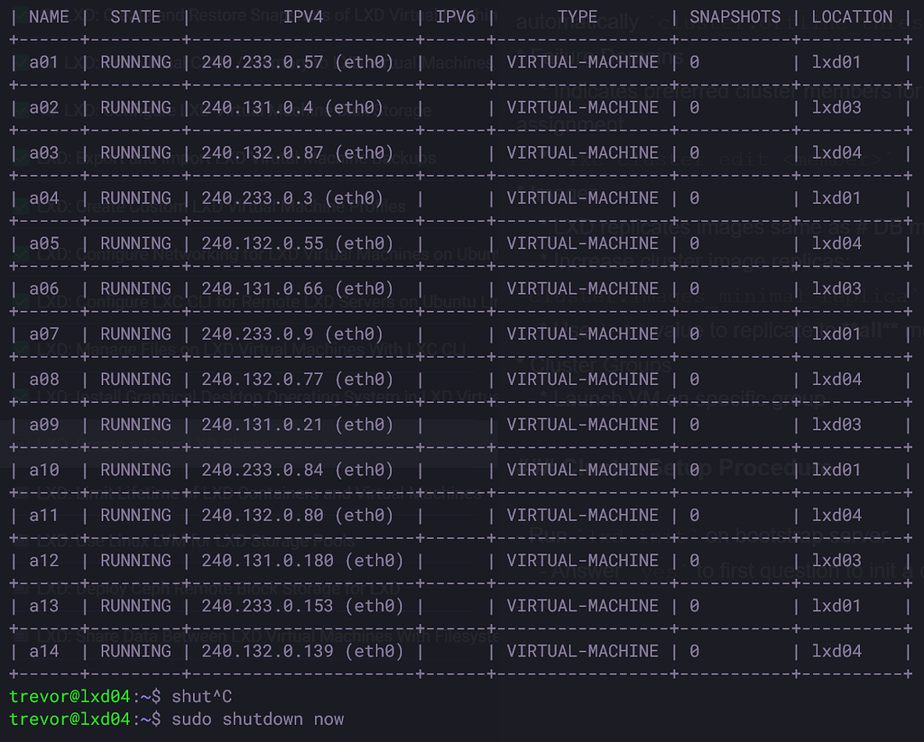 LXD Cluster: Virtual machines showing as "containers" when cluster ...