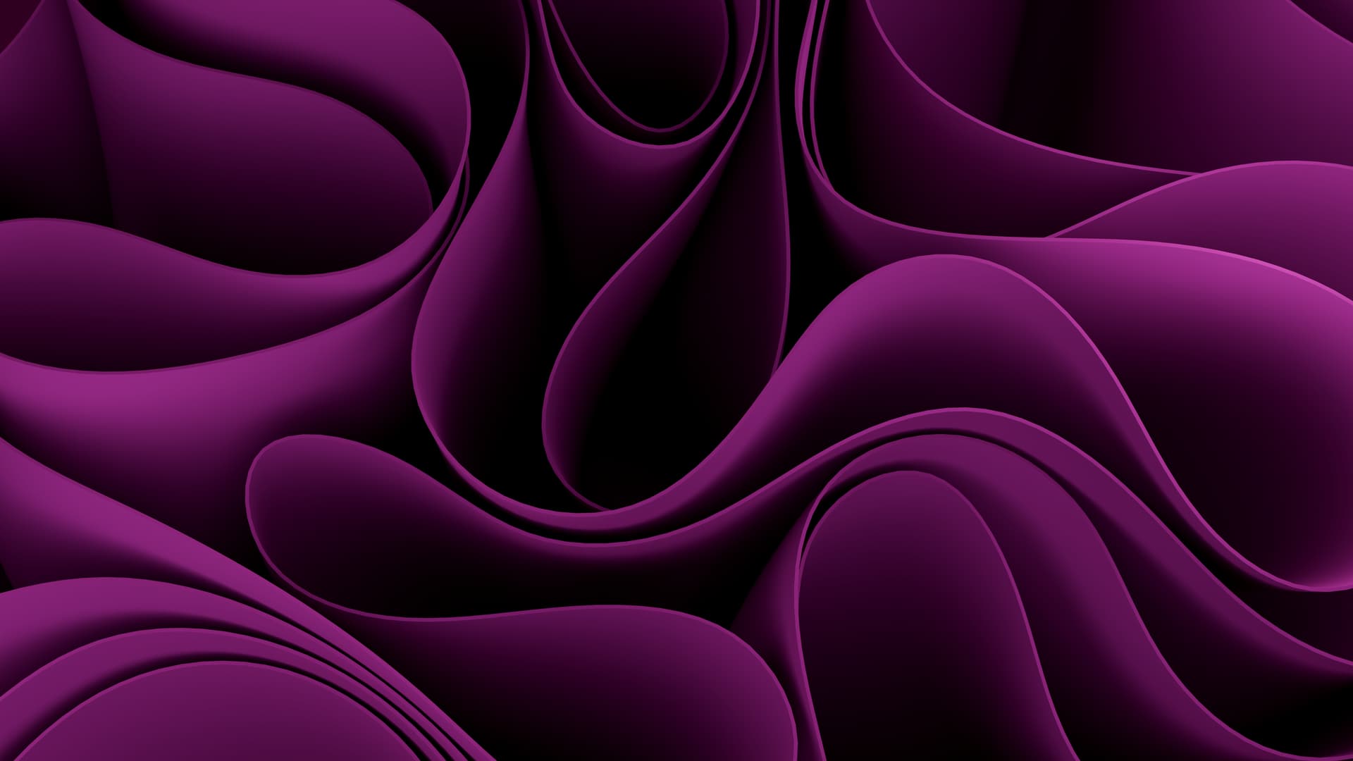 Resolute Raccoon 26.04 Wallpaper Competition - Page 8 - Community ...