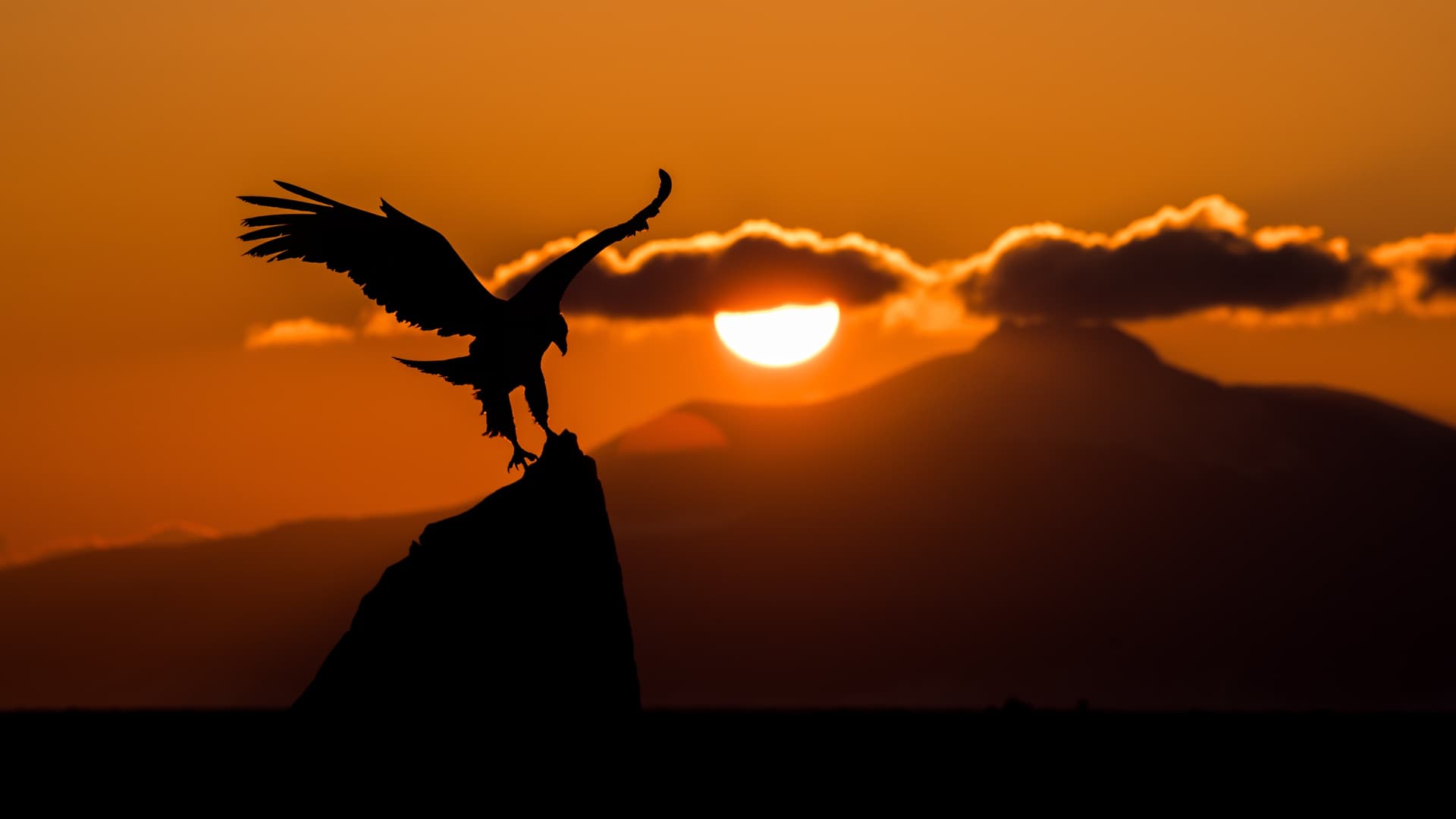 Noble Numbat 24.04 Wallpaper Competition - #56 by mizuno-as - Desktop ... Noble Numbat 24.04 Wallpaper Competition - #56 by mizuno-as - Desktop ...